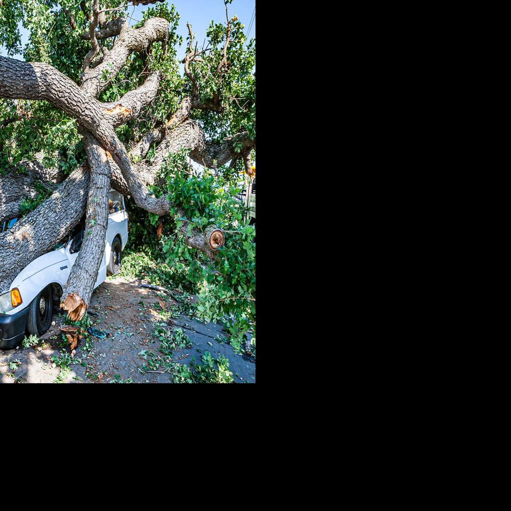 Goodwill returns | Local News | smdailyjournal.com