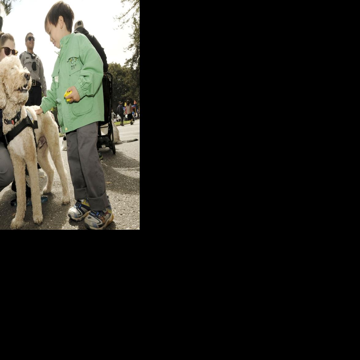 Snake owners needed to adopt rescued ball pythons | Local News ...