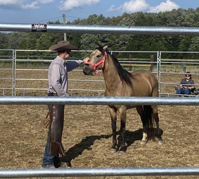 “Spurred to Victory” captures the hearts of the Elk County Fair | News ...