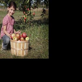 Bushels of Fun
