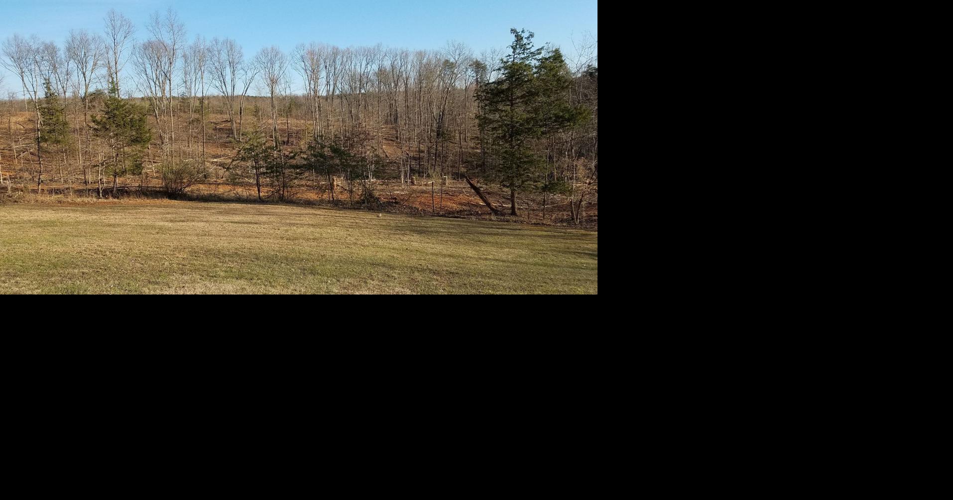 Tree clearing at SML State Park raises questions