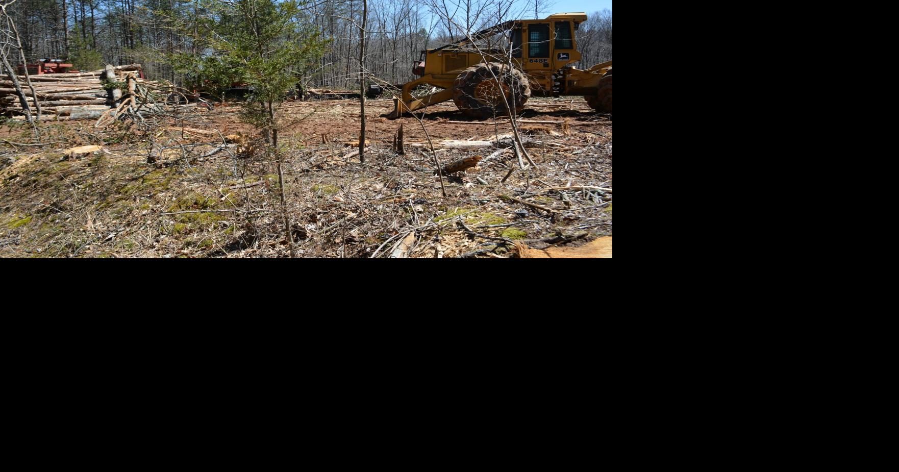 Trees cleared at SML State Park for second year