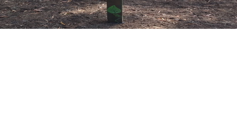SML Good Neighbors installs a Little Library