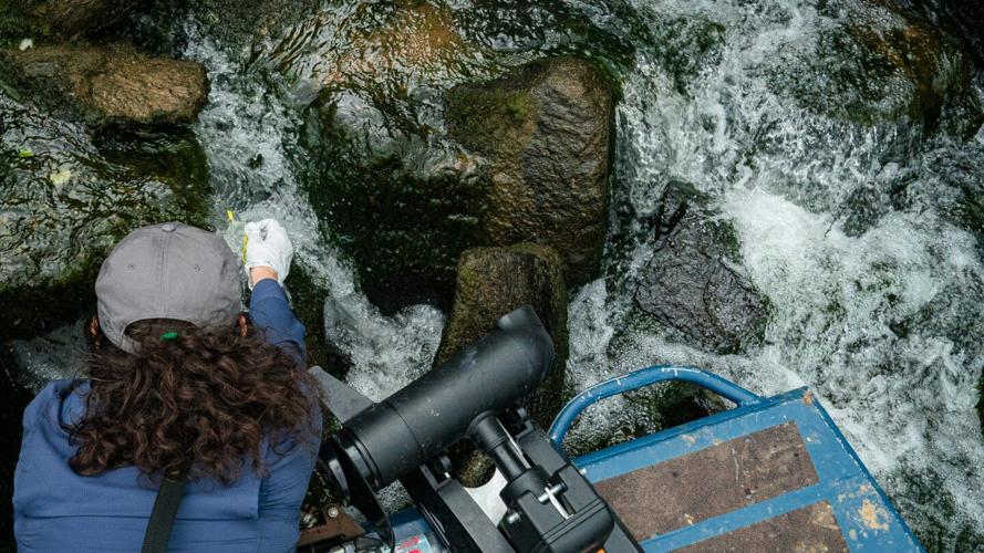 Groups that caught major sewage spill on the Chatahoochee still seeking ...
