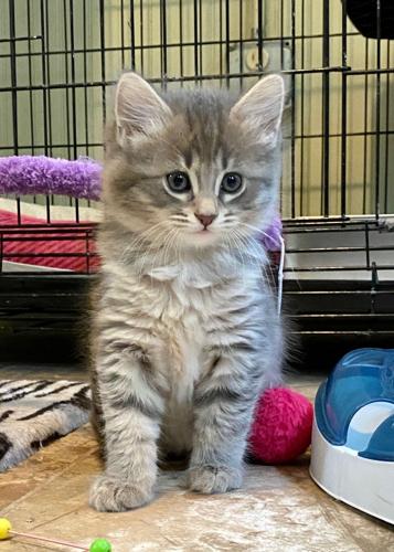 Maggie’s House: Cherie and Cosette, pictures of perfection | Archive ...