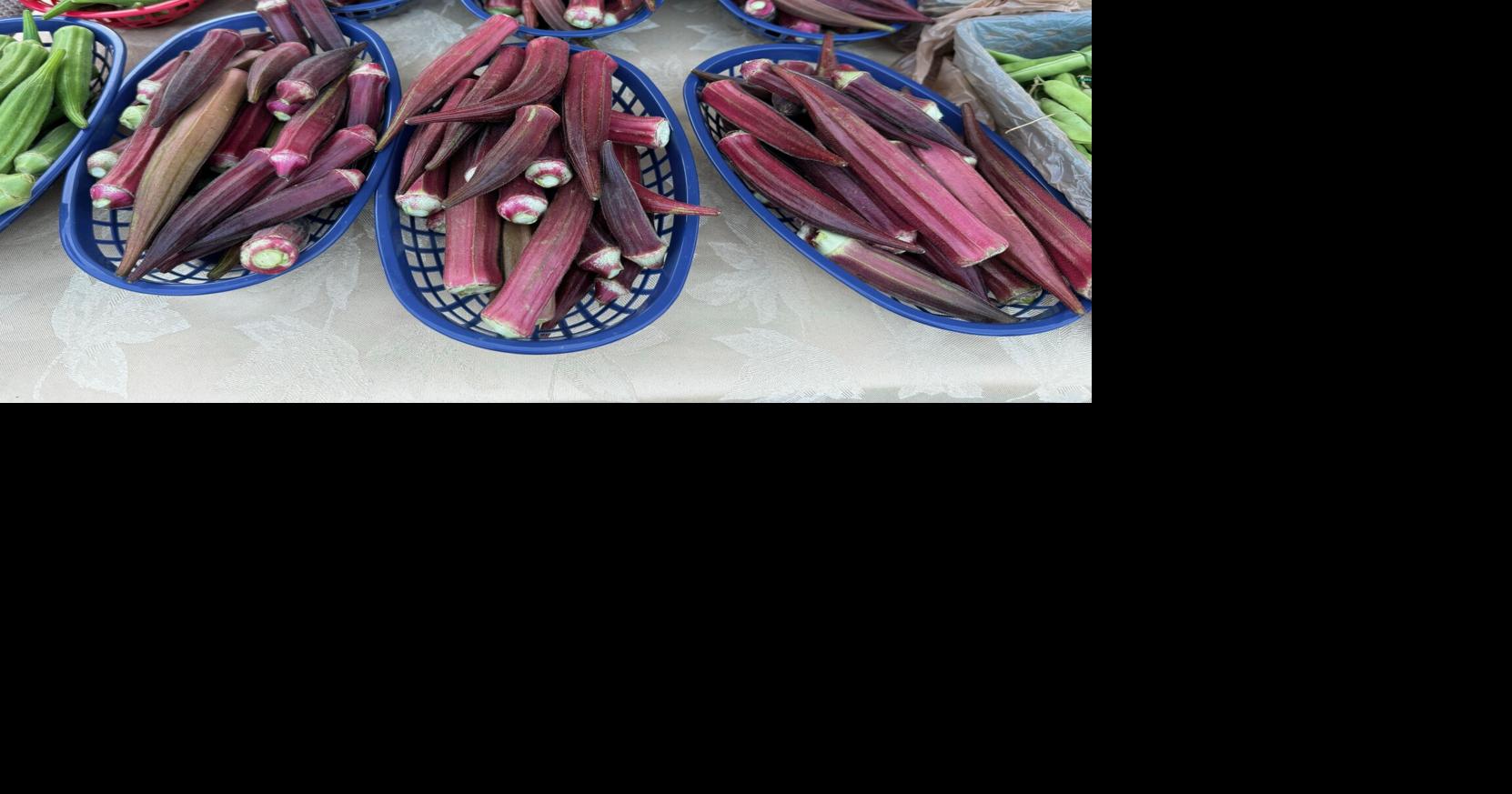 Okra is the vegetable du jour, loving these hot humid days | Pickens ...