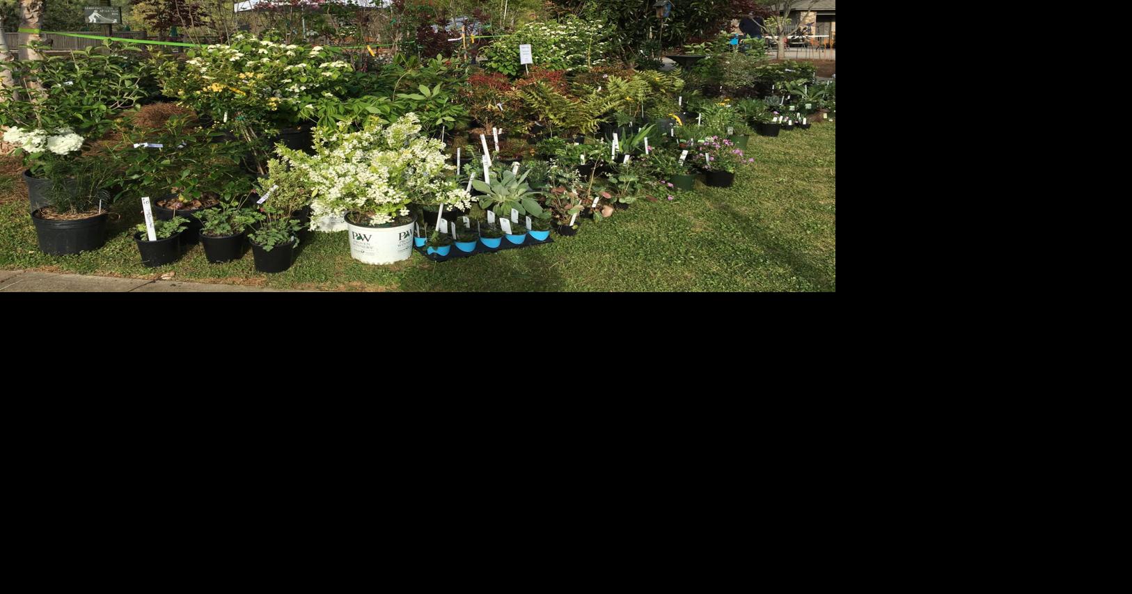 Wildflower Bunch plant sale is Saturday, April 27 | Archive ...