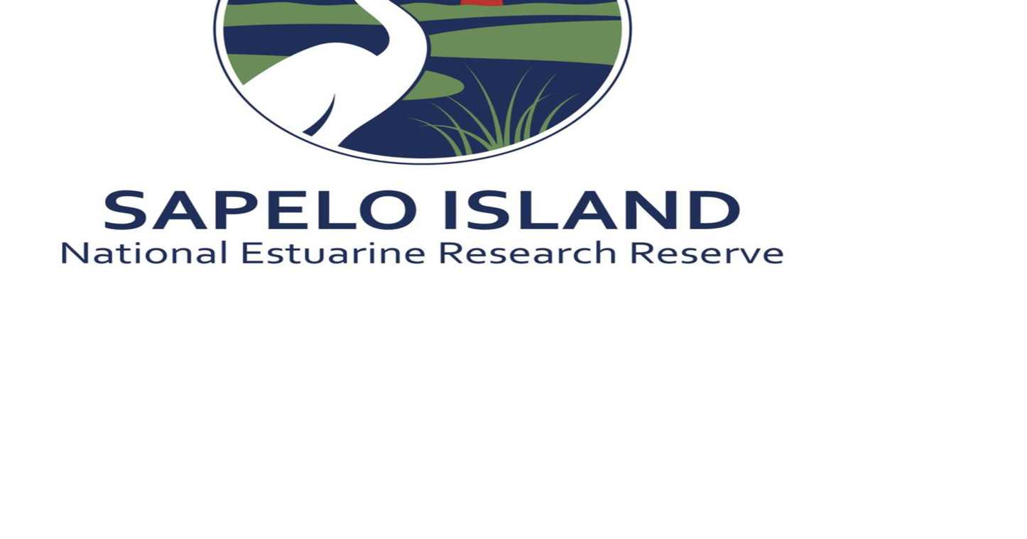 Sapelo Island gangway collapse kills seven | State | smokesignalsnews.com