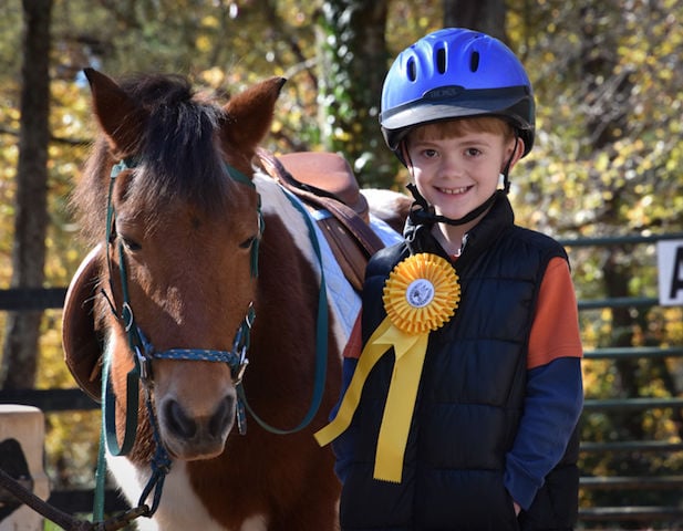 Angels on Horseback equine therapy needs a larger home | Archive ...