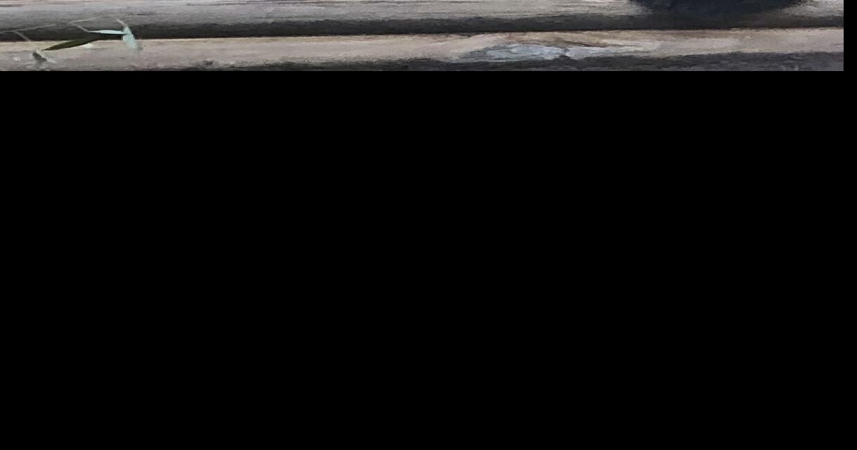 Zoo Atlanta is the only place in the US to see live pandas | Archive ...