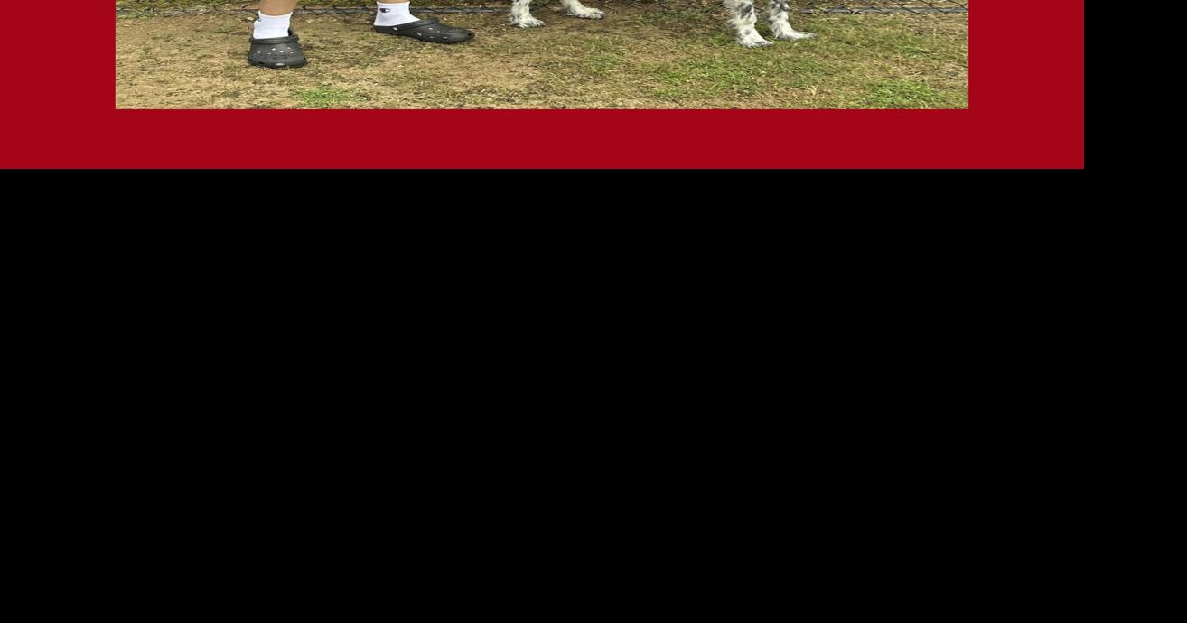 Patriotic Dog Parade highlight of Independence Day celebration | Big ...