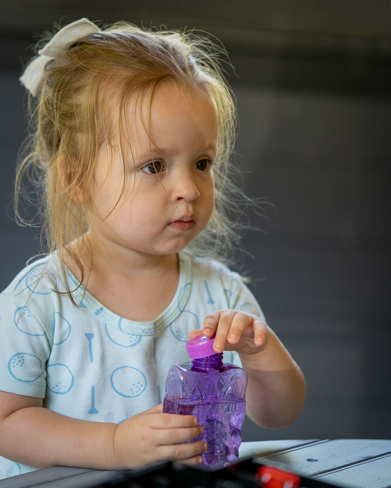 Sandra Plevin wins Photo of the Month | Arts & Entertainment ...