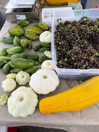 Bounty of vegetables available at Jasper Farmer's Market | Archive ...