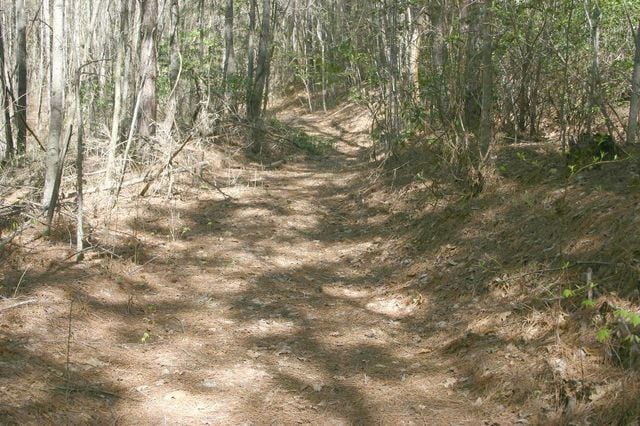 Walking old trails in the footsteps of the Indians | Archive ...