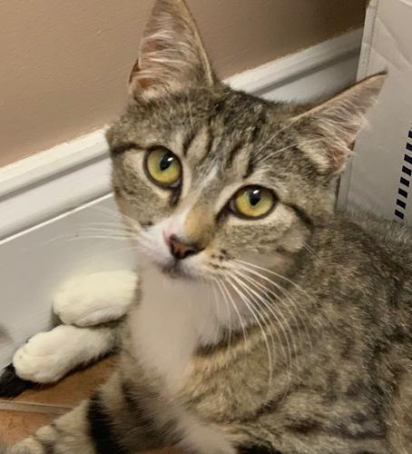 Lori—now an empty nester—is looking for a loving home | Archive ...