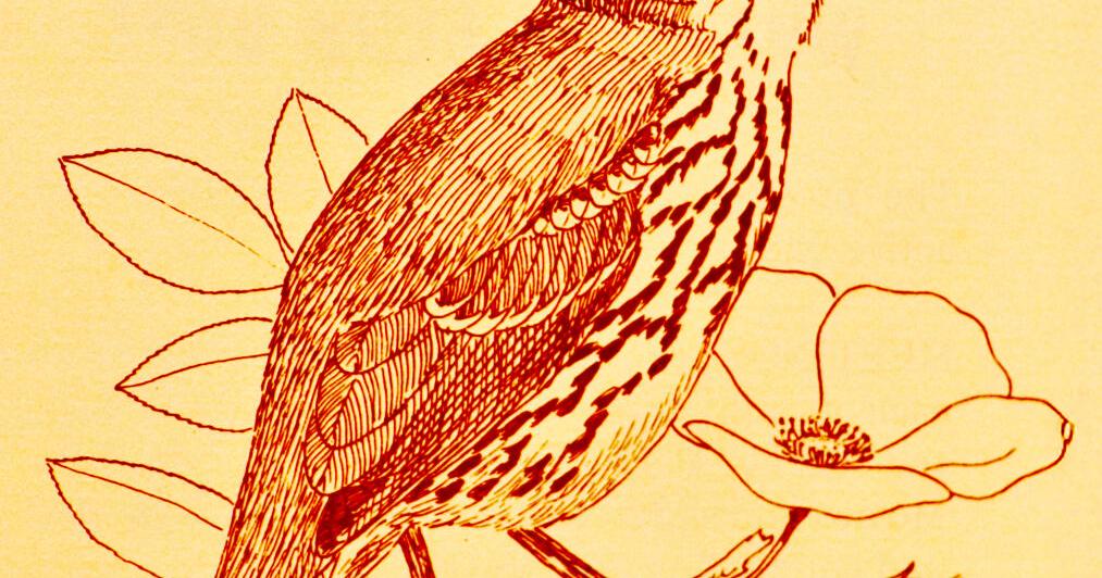 Birds Georgia celebrates 100 years | State | smokesignalsnews.com