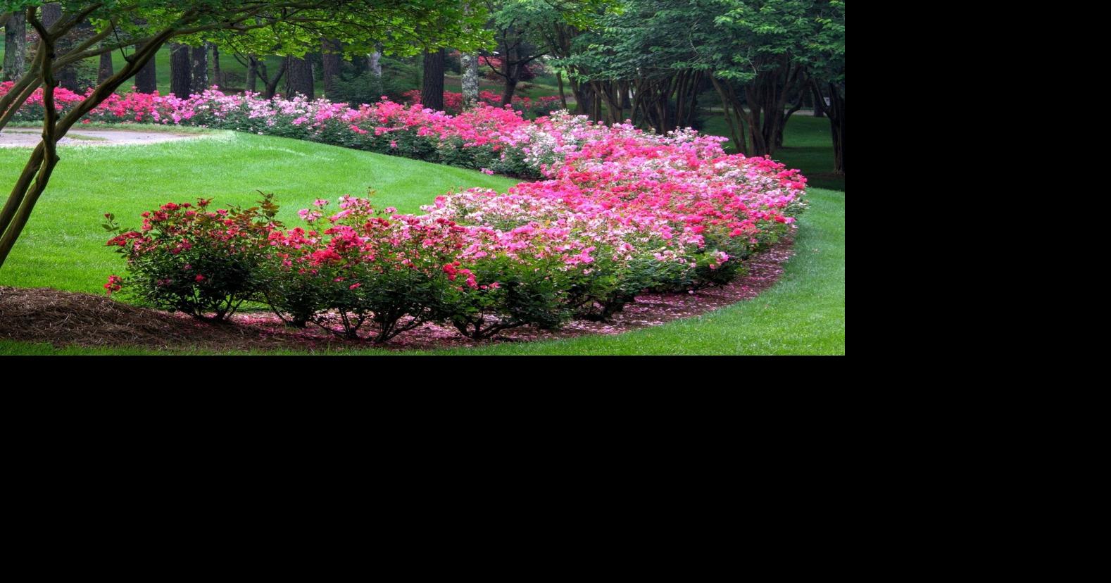 World-class garden design right up Gibbs Gardens’ allée | Archive ...