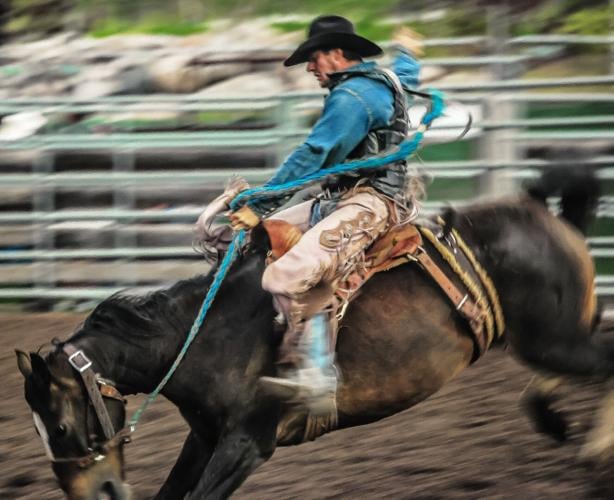 Photography Club features John Mariana, Jan. 21 | Clubs And ...