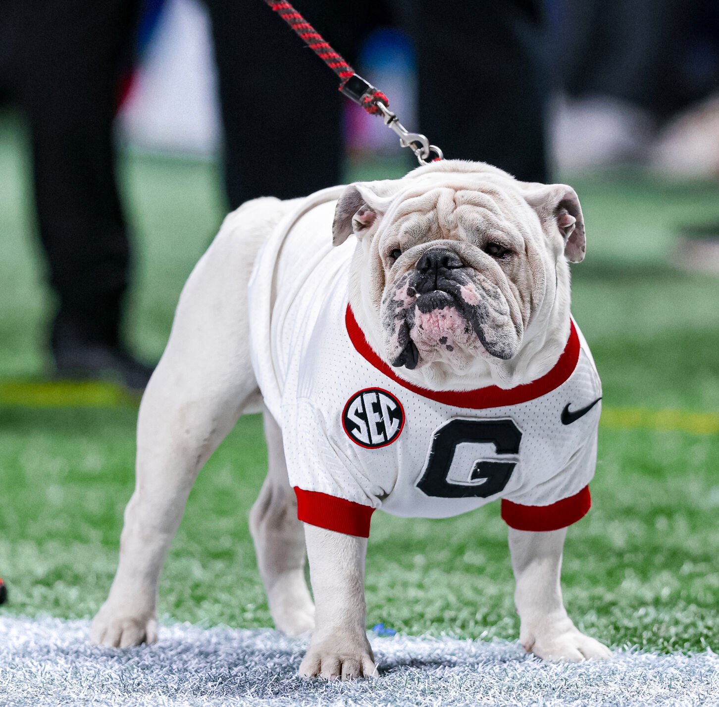 The College Football Playoff games are set | National News ...