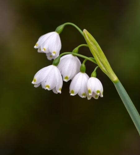 Big Canoe Photography Club offers learning opportunities | Archive ...
