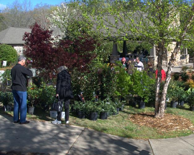 Wildflower Bunch Plant Sale a blooming success | Gardening ...