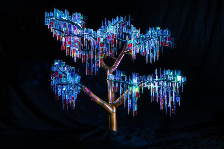 Atlanta Botanical Garden lights up in Midtown, Gainesville | Arts ...
