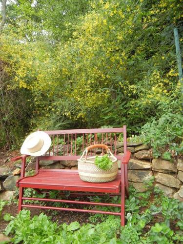 10 ways to transform your Big Canoe garden | Gardening ...