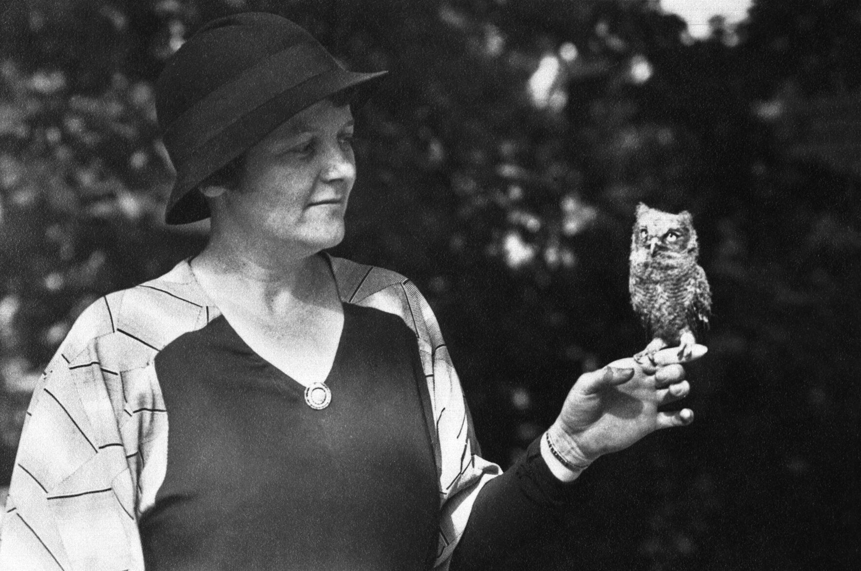 Birds Georgia celebrates 100 years | State | smokesignalsnews.com