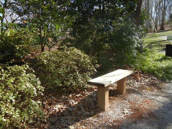 A tribute to sweet Daphne | Gardening | smokesignalsnews.com