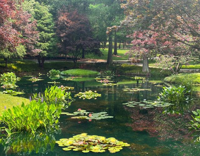 Gibbs Gardens in August: Flowers at peak color throughout its 376-acres ...
