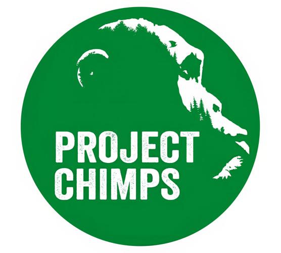Project Chimps needs artist to create heartfelt sculpture | Local News ...