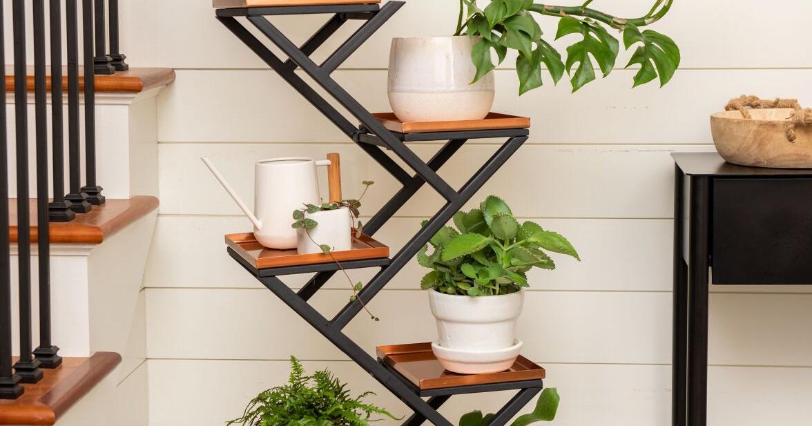 Beautify your home with a bit of greenery | Archive | smokesignalsnews.com