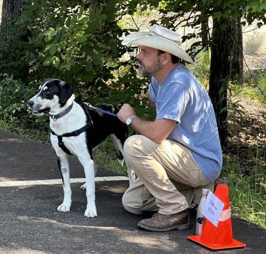 Big Canoe Animal Rescue: Dogs go to training class | Archive ...
