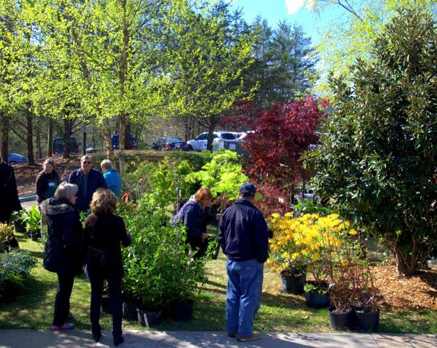 Wildflower Bunch Plant Sale a blooming success | Gardening ...