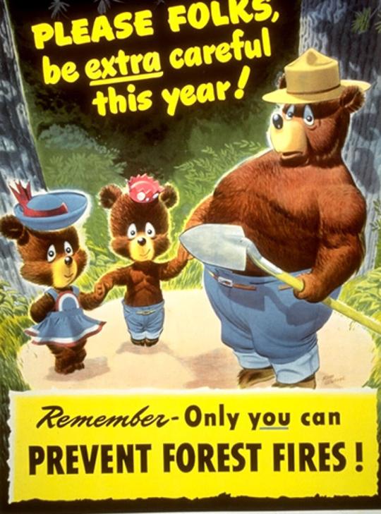 The Smokey Bear story | National News | smokesignalsnews.com