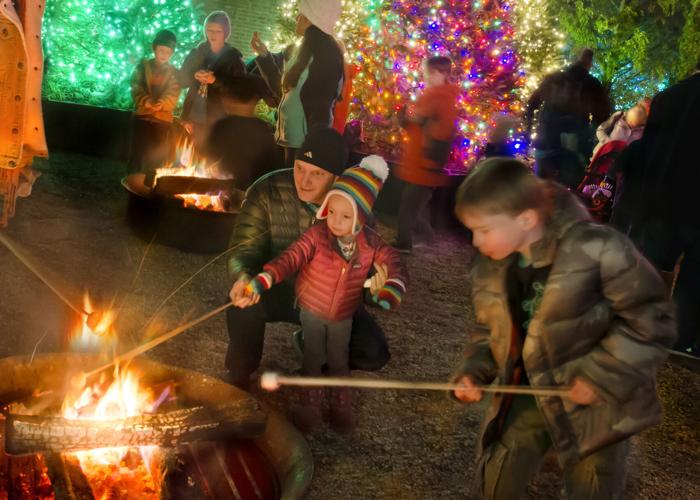 Atlanta Botanical Garden lights up in Midtown, Gainesville | Arts ...