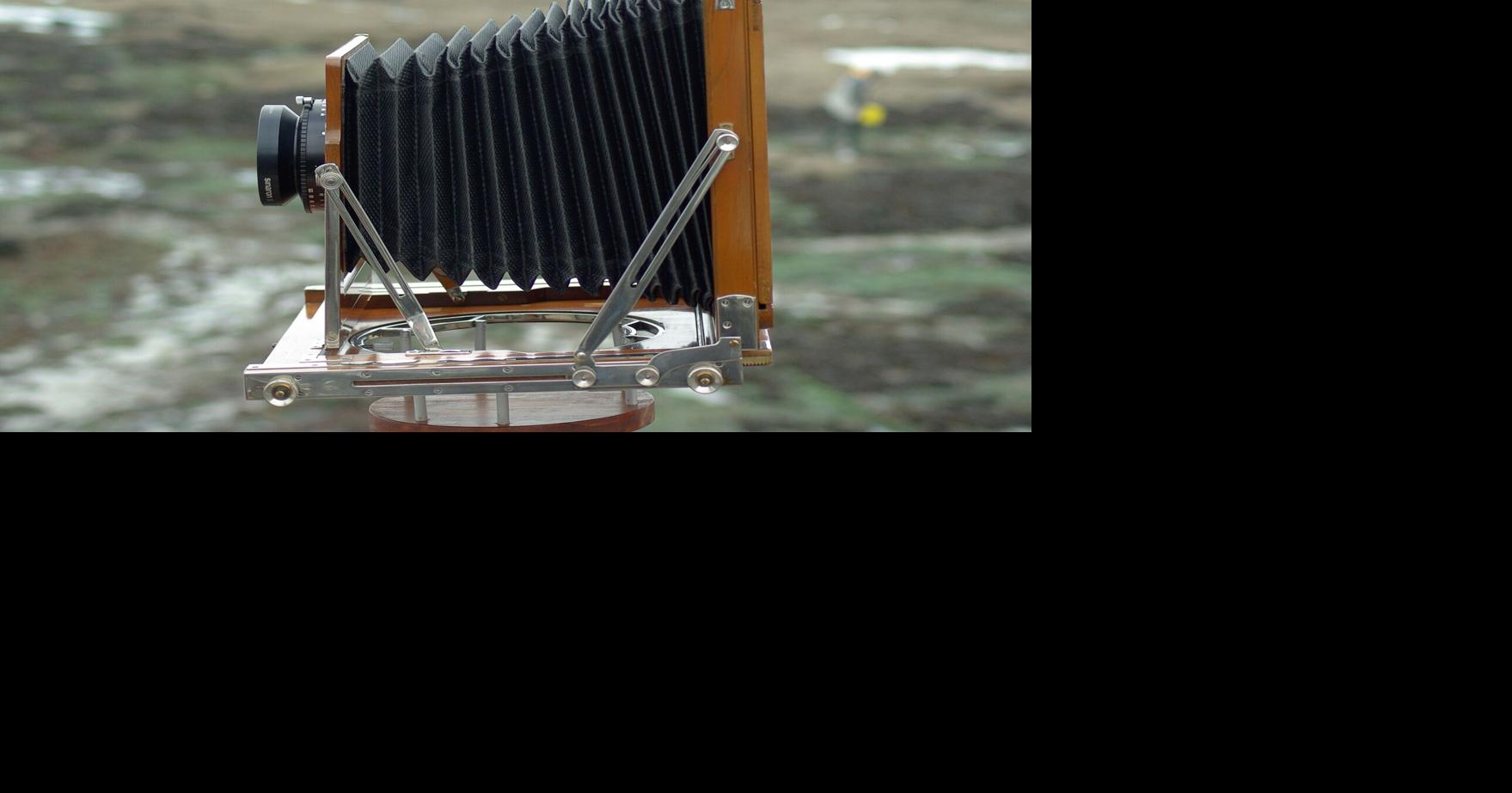 Analog versus digital cameras | Living | smokesignalsnews.com