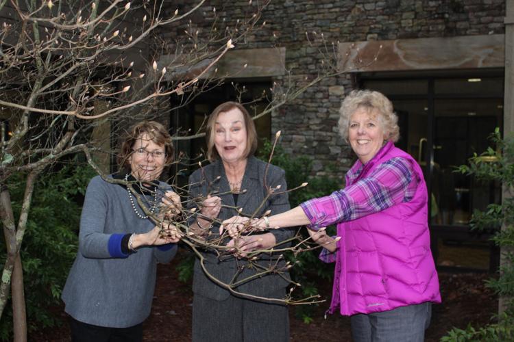 Gardening and planning for spring blooms | Gardening | smokesignalsnews.com