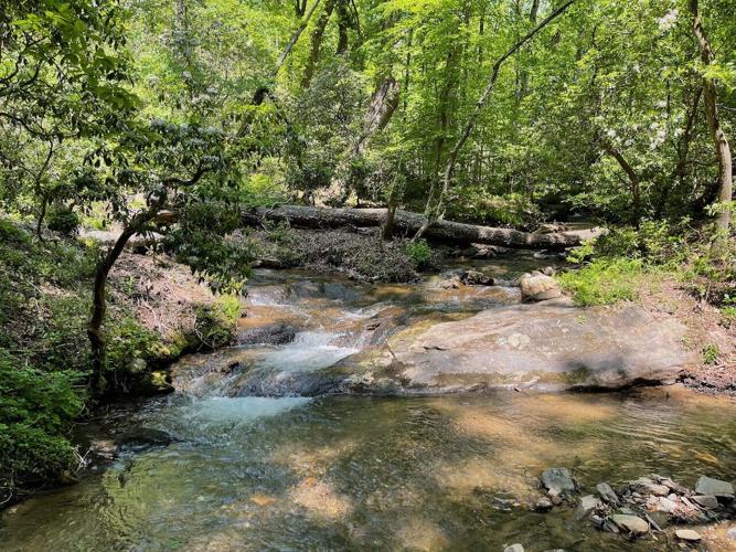 Trails Committee: Confluence Point restored to natural beauty | Archive ...