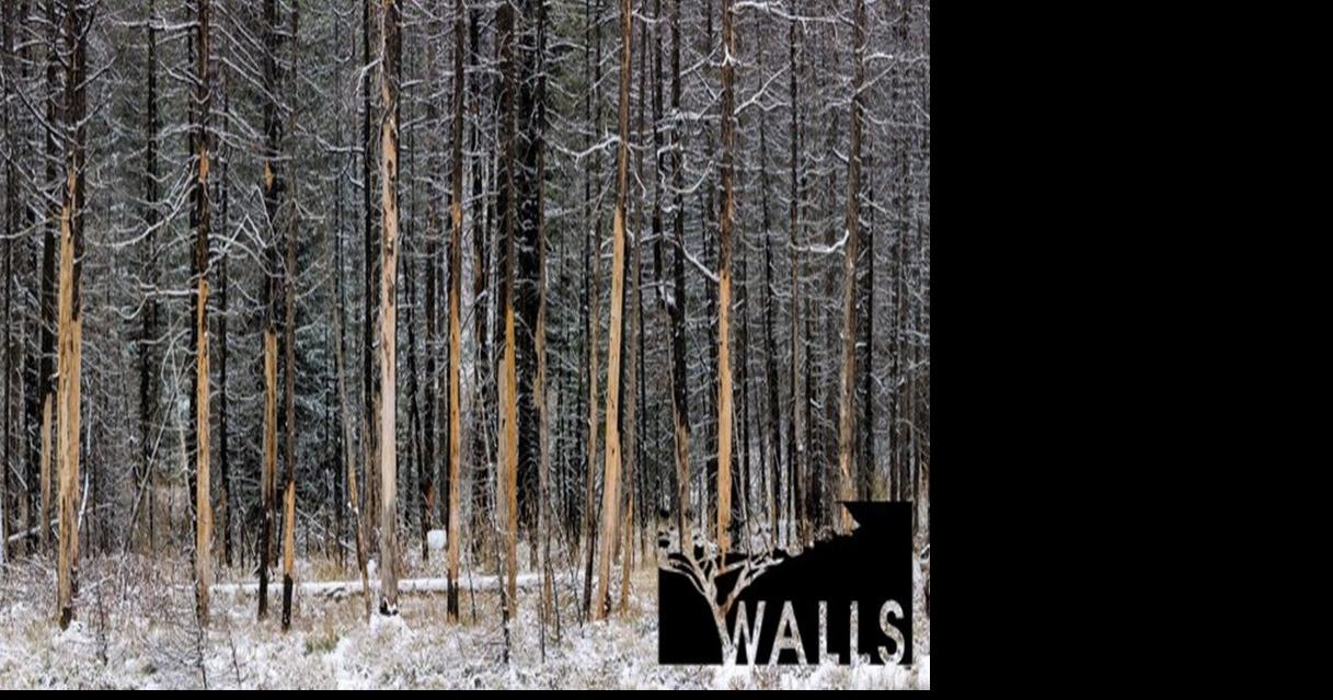The Curious Corner: The fine art photography of Benjamin Walls ...
