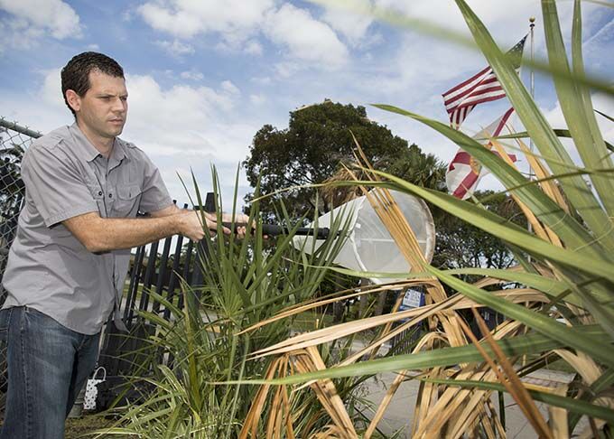 UF/IFAS scientist publishes new data on insect causing lethal disease ...