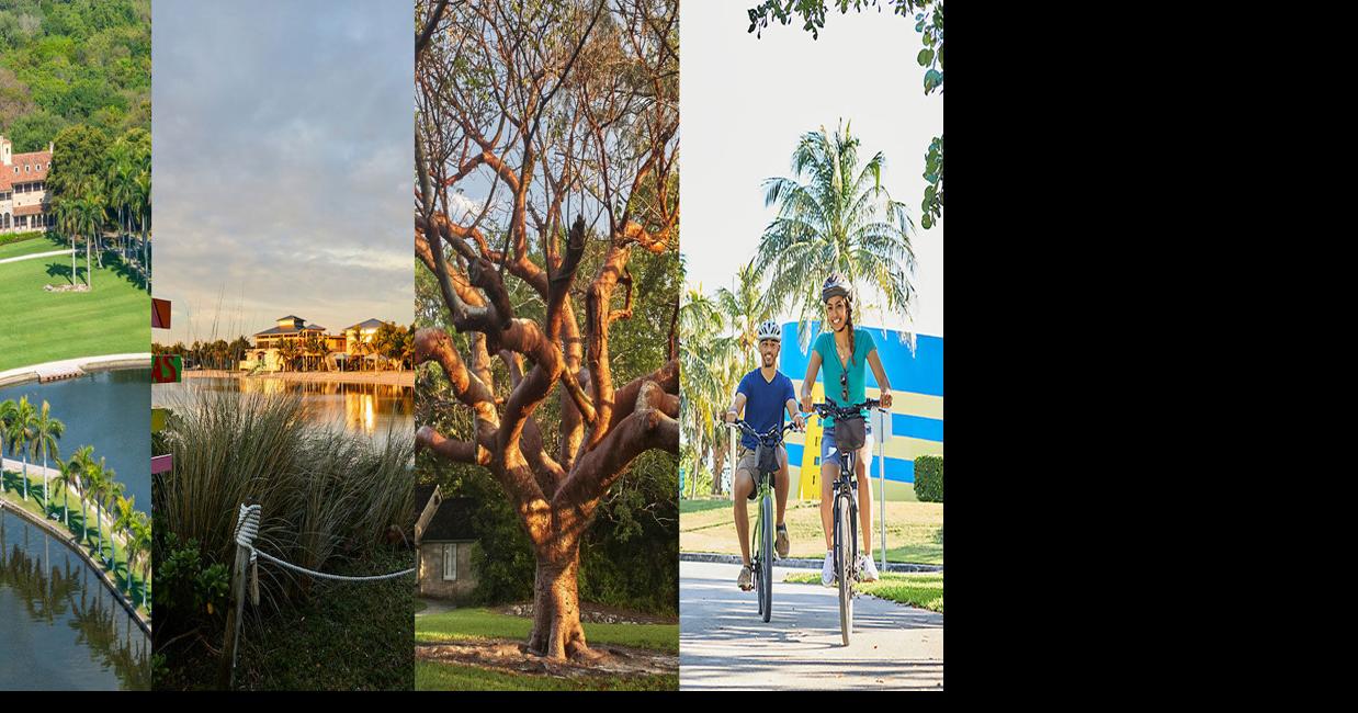 Miami-Dade County Parks' Spring Break Camps for Kids | Lifestyle ...