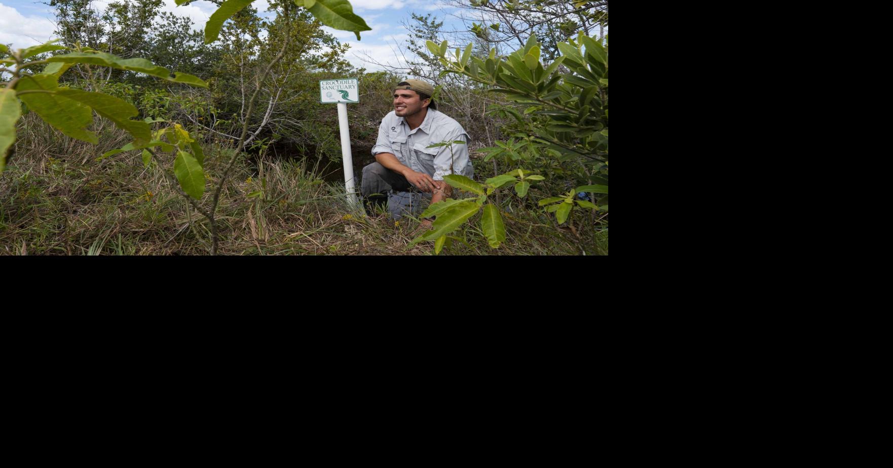 FPL biologist dedicates life to endangered species | Sports ...