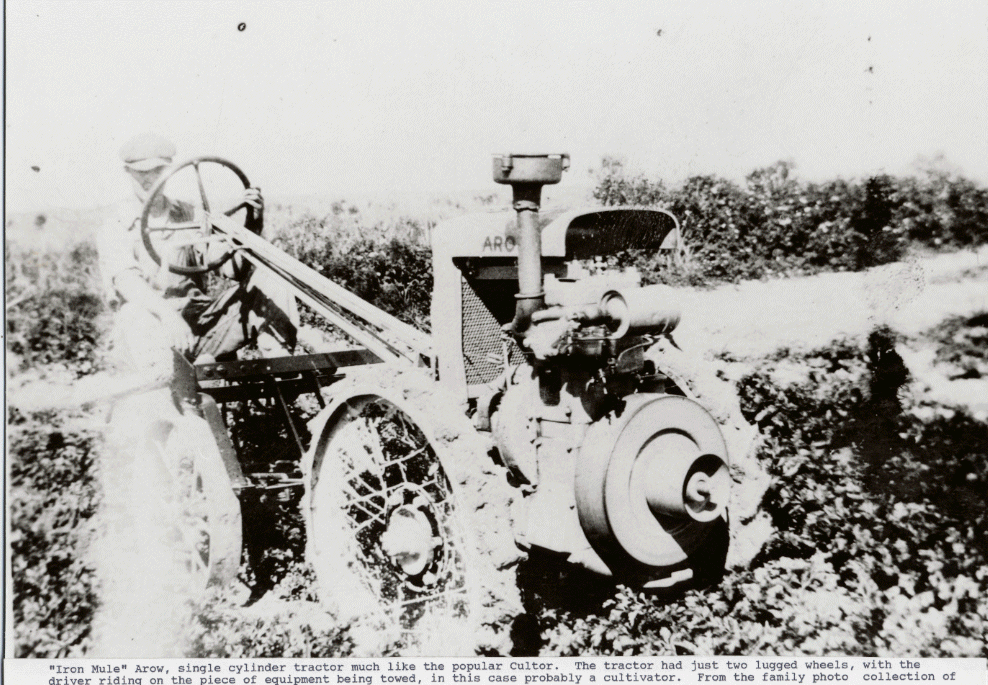 Early South Dade Agriculture At A Glance | News | southdadenewsleader.com