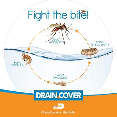 Miami-Dade County takes action, reminds residents to stay safe from ...