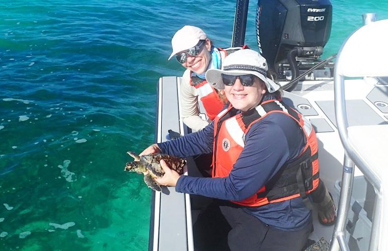 Rehabilitated Sea Turtle Released | Sports | southdadenewsleader.com