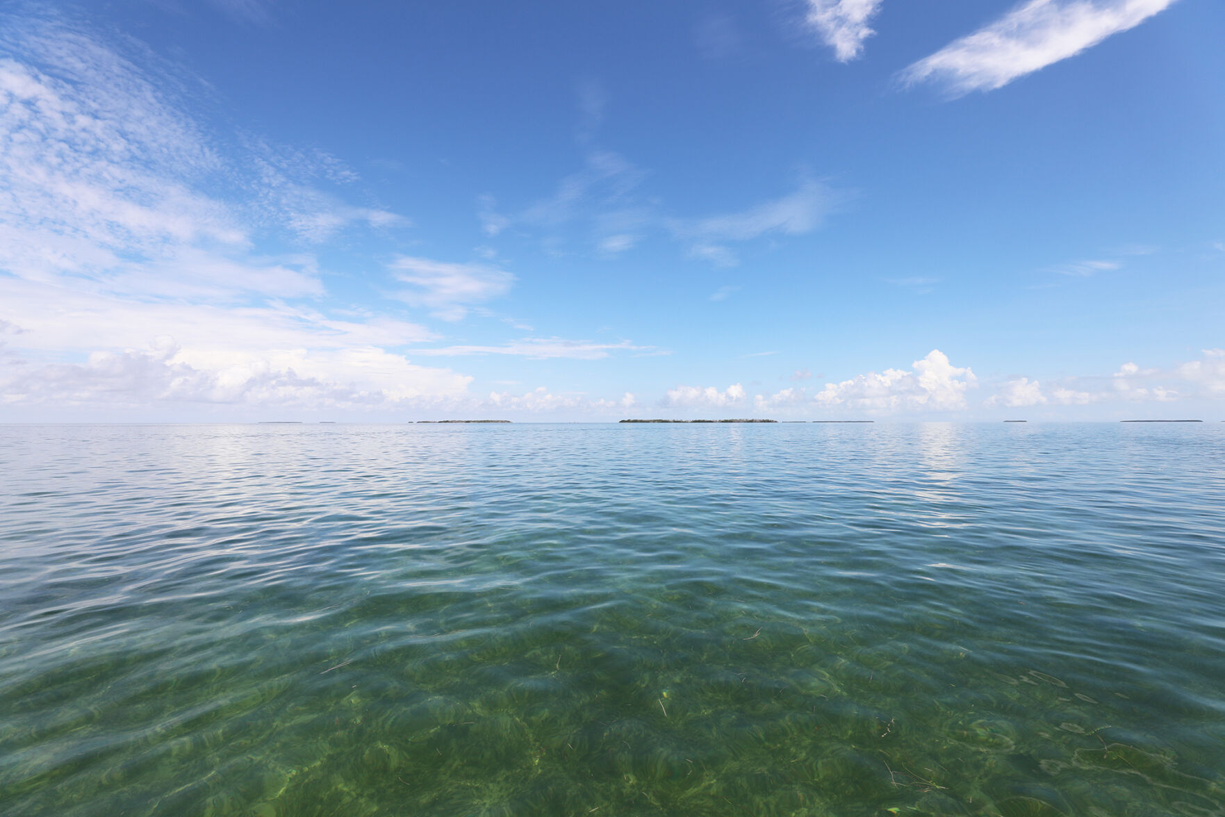 Historic Water Levels in the Everglades Help Fix Florida Bay Salinity ...