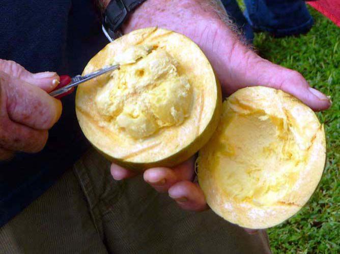 What's in Season for July | Lifestyle | southdadenewsleader.com