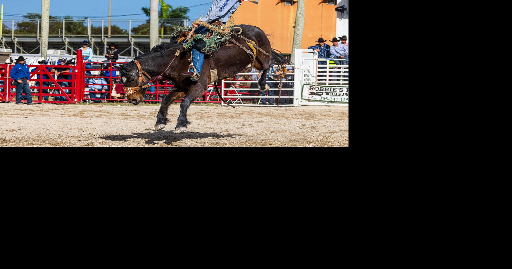 Riding the Legacy: Homestead's 75th Championship Rodeo in Captivating ...