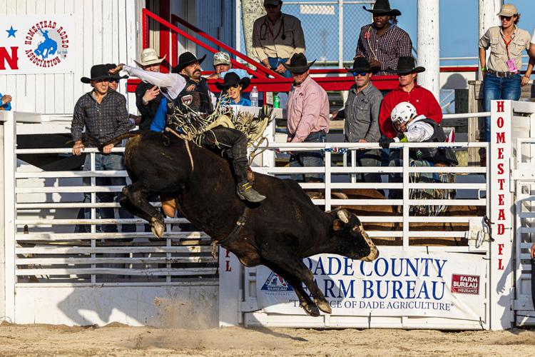 Riding the Legacy: Homestead's 75th Championship Rodeo in Captivating ...
